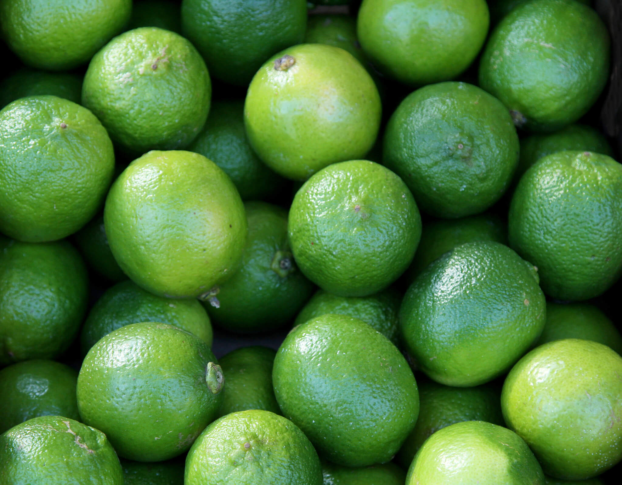 Limes - Earth Source